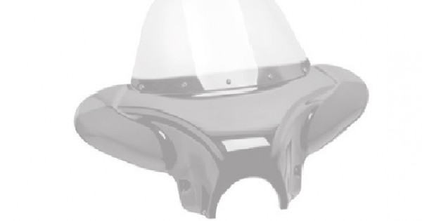 Windshield CUSTOMACCES BATWING EH0011W transparent